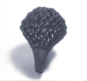 Popular Textural Wax Patterns - Ganoksin Jewelry Making Community