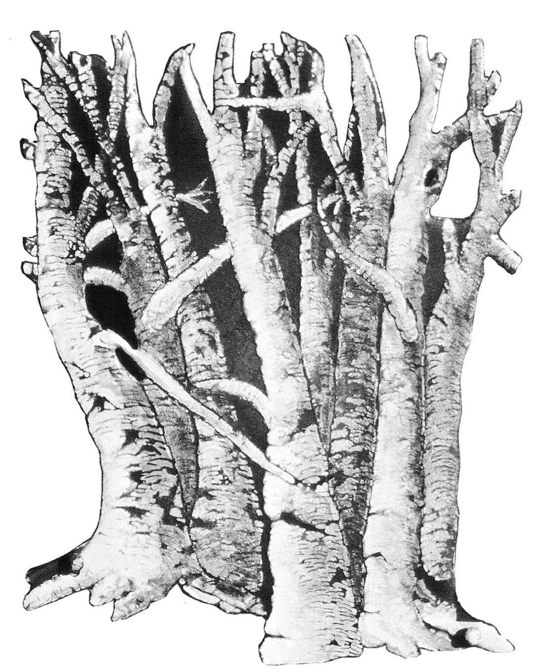 Moche Metalwork - Ganoksin Jewelry Making Community